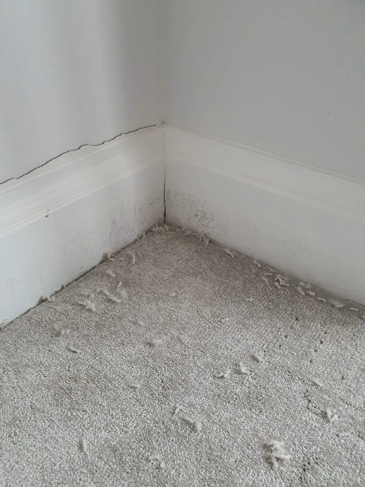 Compensation for Slipping on a Badly Fitted Carpet – How Much ...